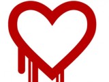 What You Need to Know About the Heartbleed Bug - Eaton & Berube Insurance