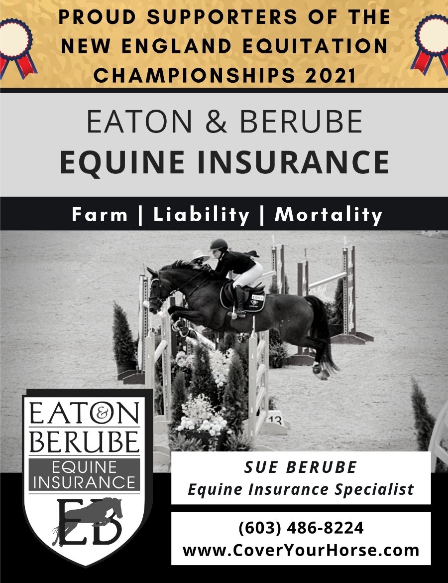 Top-Rated Horse Insurance Agency | Equine Insurance in NH, MA, ME, CT